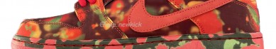 Nike SB Dunk Low X The Wizard of Oz FZ1291-600
